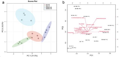 Principle Component Analysis Pca Scores Plot A And The