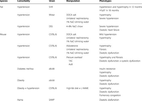 Rodent Models For Human Hfpef Research Download Scientific Diagram