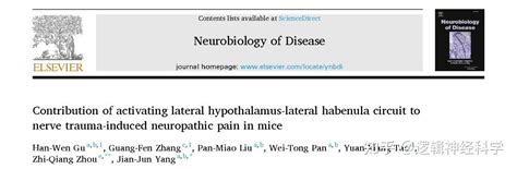 Neurobiol Dis︱郑州大学杨建军课题组揭示外侧下丘脑 外侧缰核神经环路在神经病理性疼痛中的重要作用 知乎