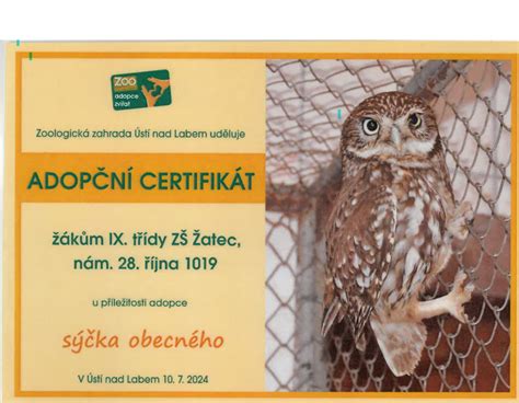Stali Jsme Se Adoptivn Mi Rodi I S Ka Obecn Ho Z Kladn Kola Atec N M Jna