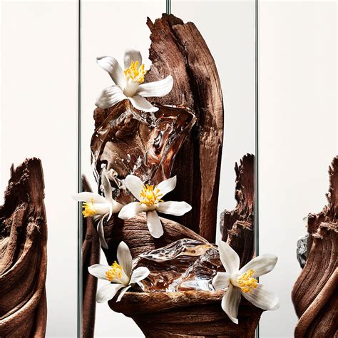 Myslf Parfum Type De Parfum Prix En Ligne Yves Saint Laurent Perfumes