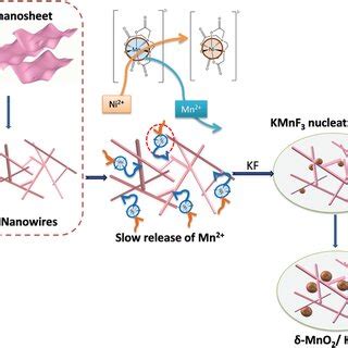 a Layered structure of δMnO b Raman spectra of δMnO c ICP test Download Scientific
