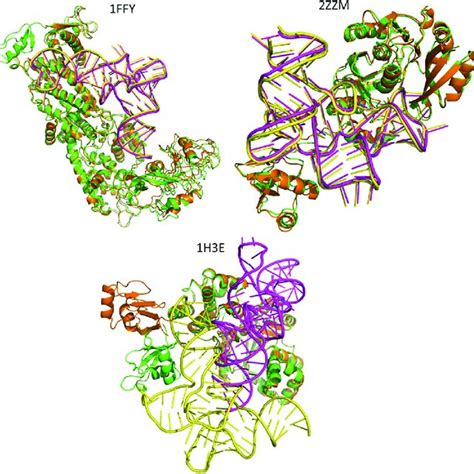 The Top 1 Predictions Of Three Rna Protein Complexes Comparing With