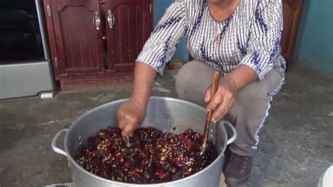 Pipián Archivos B15 Digital