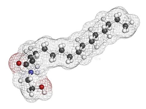 Palmitoylethanolamide Molecule Stock Illustrations 22 Palmitoylethanolamide Molecule Stock