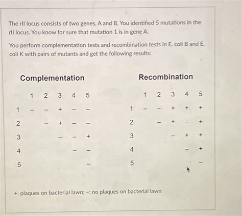 Solved The Rll Locus Consists Of Two Genes A And B You Chegg