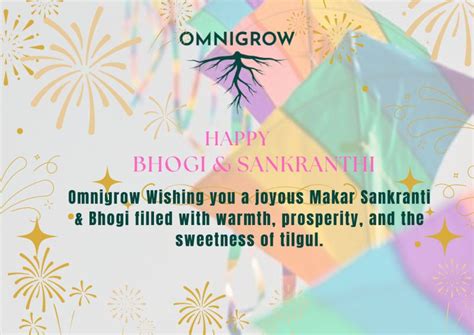 Salil Apte On Linkedin May Your Days Ahead Be As Bright As The Kites