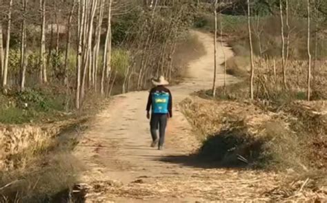 豫西农村农民经济收入考察记录 这是个令人疑惑的星球 这是个令人疑惑的星球 哔哩哔哩视频