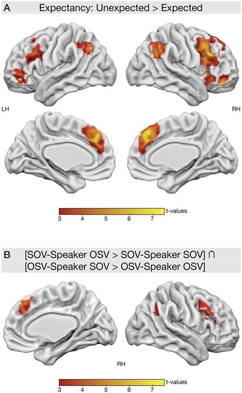 A Interaction Effect Of Expectancy The Syntactic Structure That Was Download Scientific