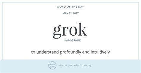 word of the day grok