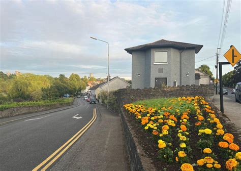 Edward Haydens Multi Seed Brown Bread