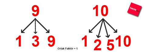 asal sayı nelerdir tanımı asal sayılar 100 e kadar nedir