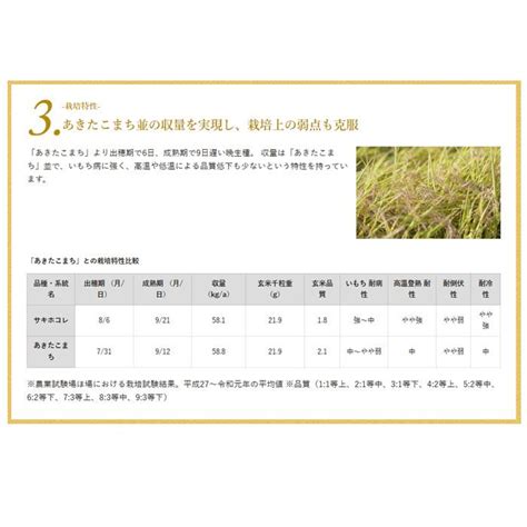 米 10kg 特別栽培米 サキホコレ 特a米 秋田県産 お米 10キロ 令和5年産 玄米 白米 7分づき 5分づき 3分づき オーダー精米 ご