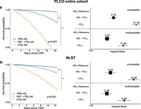 independent testing of the cxr lung risk model in the plco testing