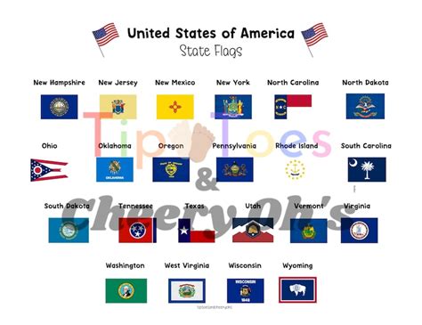 United States Of America State Flags 50 States Us State Flags