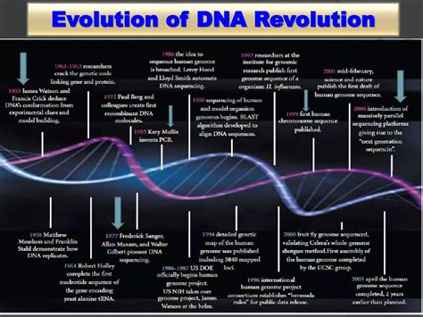 Next Generation Sequencing Technologies And Their Applications In Ornamental Crops Pptx