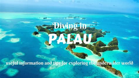 10 Breathtaking Tourist Places To Visit In Palau Tourist Places Guide