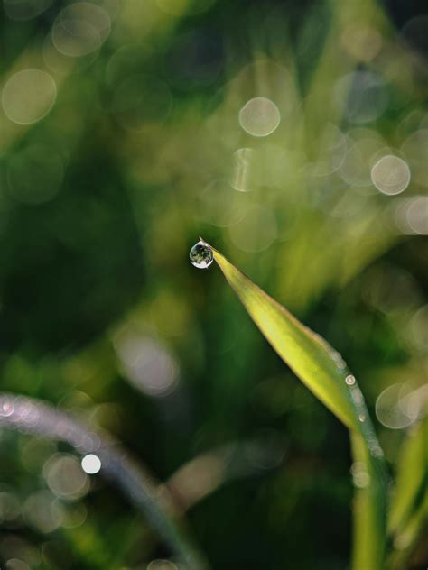 Pixel Grass Texture Photos Download The Best Free Pixel Grass Texture