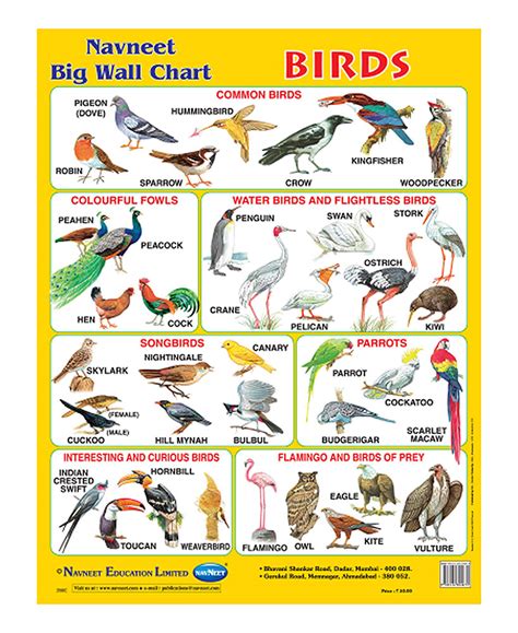Indian Birds Chart