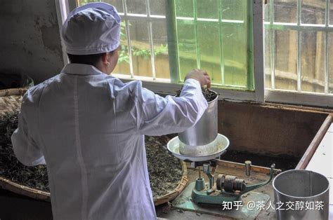 普洱茶压饼工艺详解 知乎