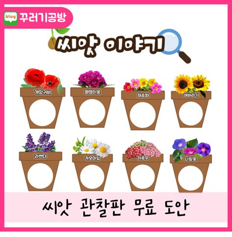 꾸러기 공방 씨앗판 만들기 씨앗 관찰판 만들기 4월 활동 4월 환경판 식목일 활동 씨앗 활동 씨앗