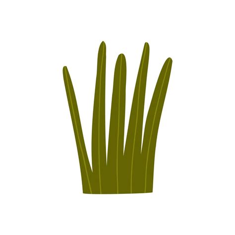 planta do deserto em estilo desenhado à mão plana oeste selvagem deserto plantas ilustração