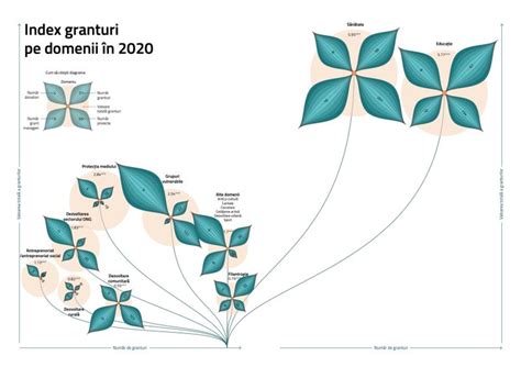 Datavisualisation Dataviz Dataart Infographic Ddj Razvan Zamfira