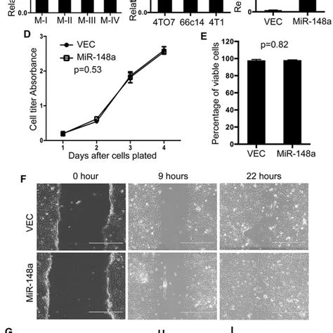 Results Of Verifynow Ⓡ P2y12 Assay Download Table