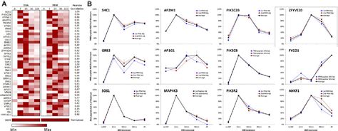 Figure 4 From A Cross Linking Aided Immunoprecipitationmass