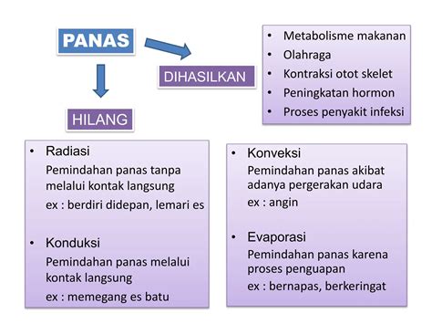 Pemeriksaan Tanda Tanda Vital Vital Sign Ppt