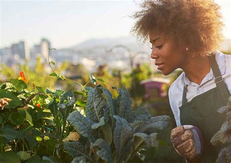 Bezugsquelle Für Kapazitive Feuchtesensoren Blumenerde Inkl Auswerteelektronik Deutsch