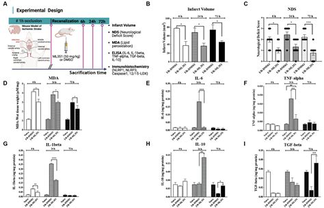 Frontiers 1215 Lipoxygenase Inhibition Attenuates Neuroinflammation