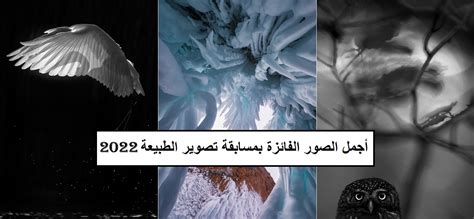 أجمل الصور الفائزة في مسابقة تصوير الطبيعة لعام 2022 شبكة ابو نواف