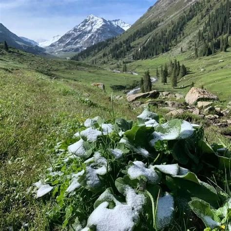 C多线程 信号量（semaphore） 知乎