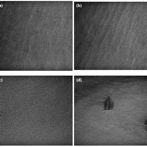 Examples Of Hisea 1 Striping Mode Hisea 1 Sm Images In Vv Download Scientific Diagram