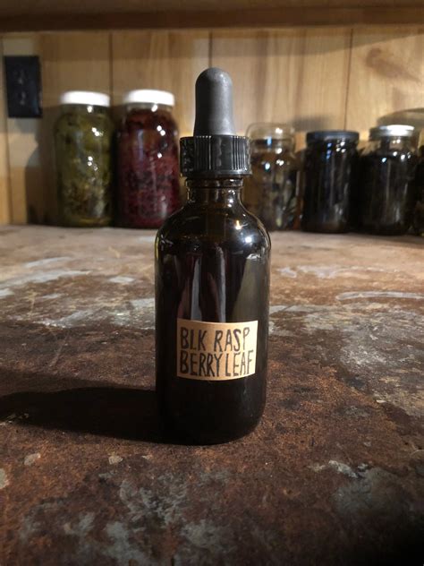 Black Raspberry Leaf Tincture Wild Foraged Tinctured Fresh Buy Online Foraged