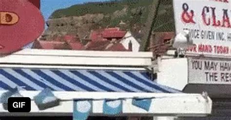 Cidar 9gag