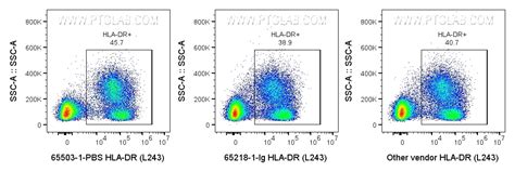 HLA DR Antibody 65503 1 PBS Proteintech