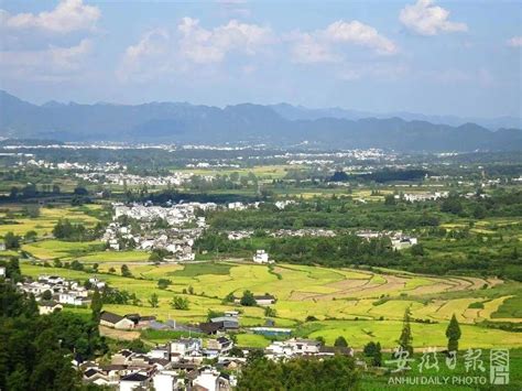 重磅方案印发！从“摆脱脏乱差”到“追求乡村美”农村人居环境