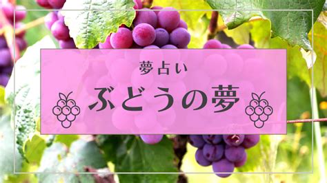 【夢占い】ぶどうの夢の意味20選！食べる・もらう・買う・ワインなどパターン別にご紹介！ Supimin