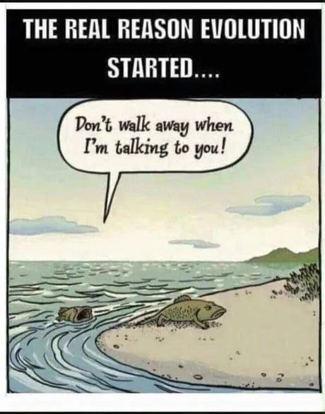 Forced Evolution Rcomedycemetery