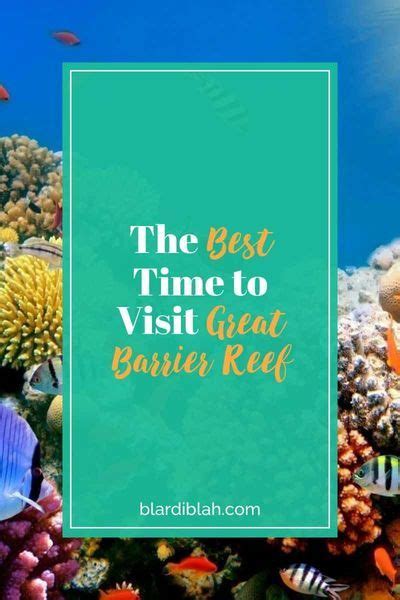 The Best Time To Visit Great Barrier Reef Artofit
