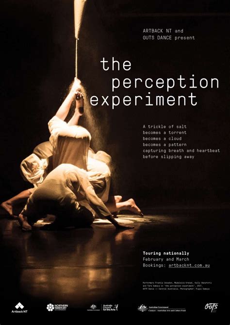 The Perception Experiment Artback Nt
