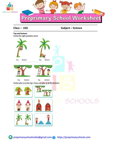 Position Top And Bottom Kindergarten Worksheet