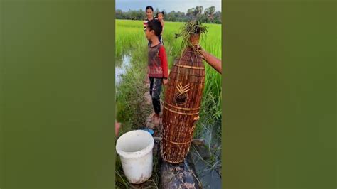 ម្ដងនេះ ទ្រូចង់ធ្លាយ Youtube