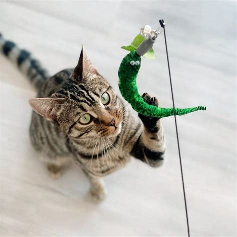 Interactive Worm Simulation Cat Toy Set Leos Paw