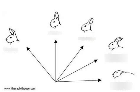 Behaviour And Handling Diagram Quizlet