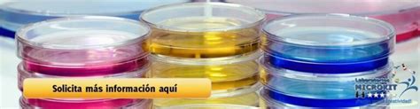 Medios De Cultivo Para Microbiología