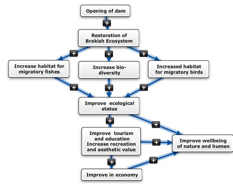 Cognitive Map Showing The Ecosystem Services In Perspective Of Download Scientific Diagram