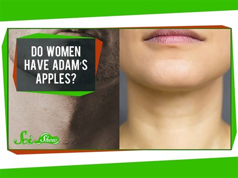 Why Do We Have An Adams Apple At Erminia Heavner Blog